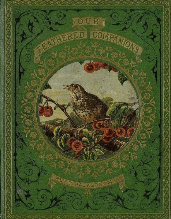 Where have all the Birds gone… | Straight From The Horses Mouth